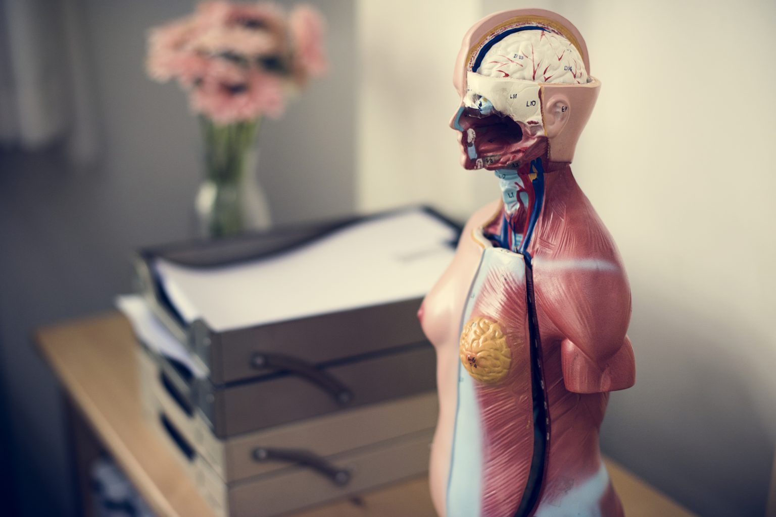 ¿Dolor en el Tórax al Toser? Descubre Cómo la Fisioterapia Respiratoria ...